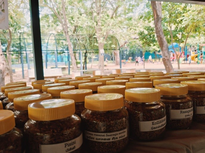 CIKS Showcases Traditional Paddy Varieties at Biodiversity Day Event ...